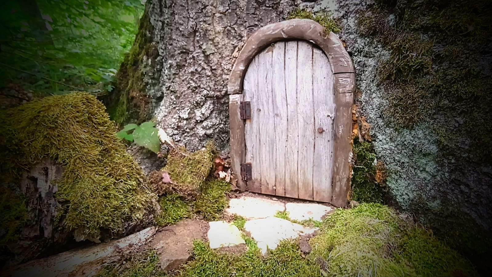 Il Bosco delle Fate - AmaParco